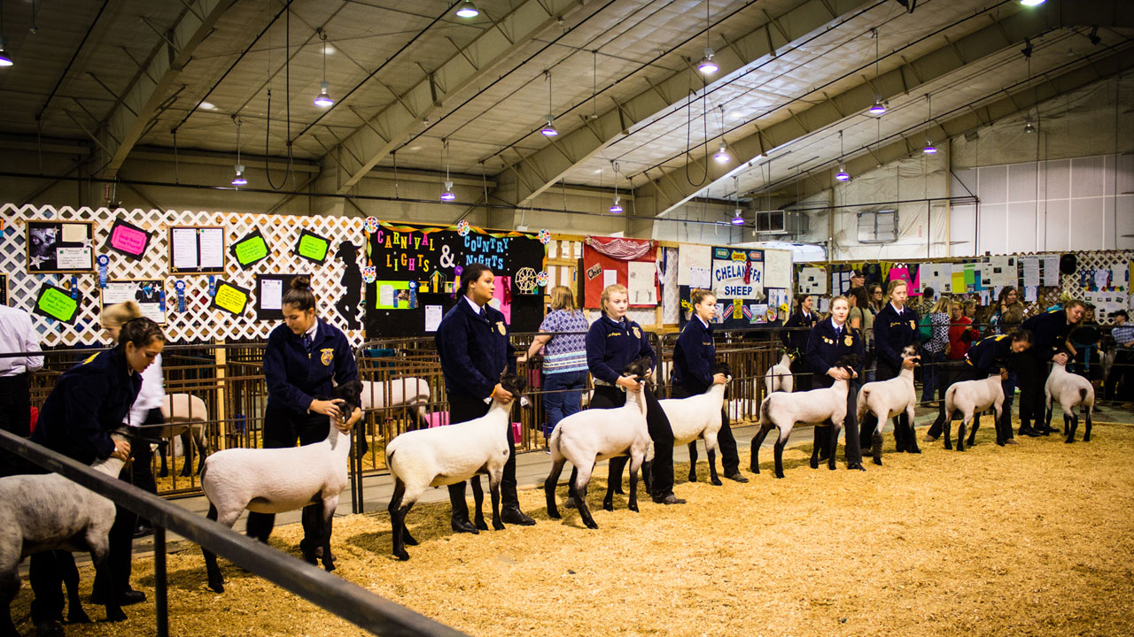 Chelan County Fair 2024